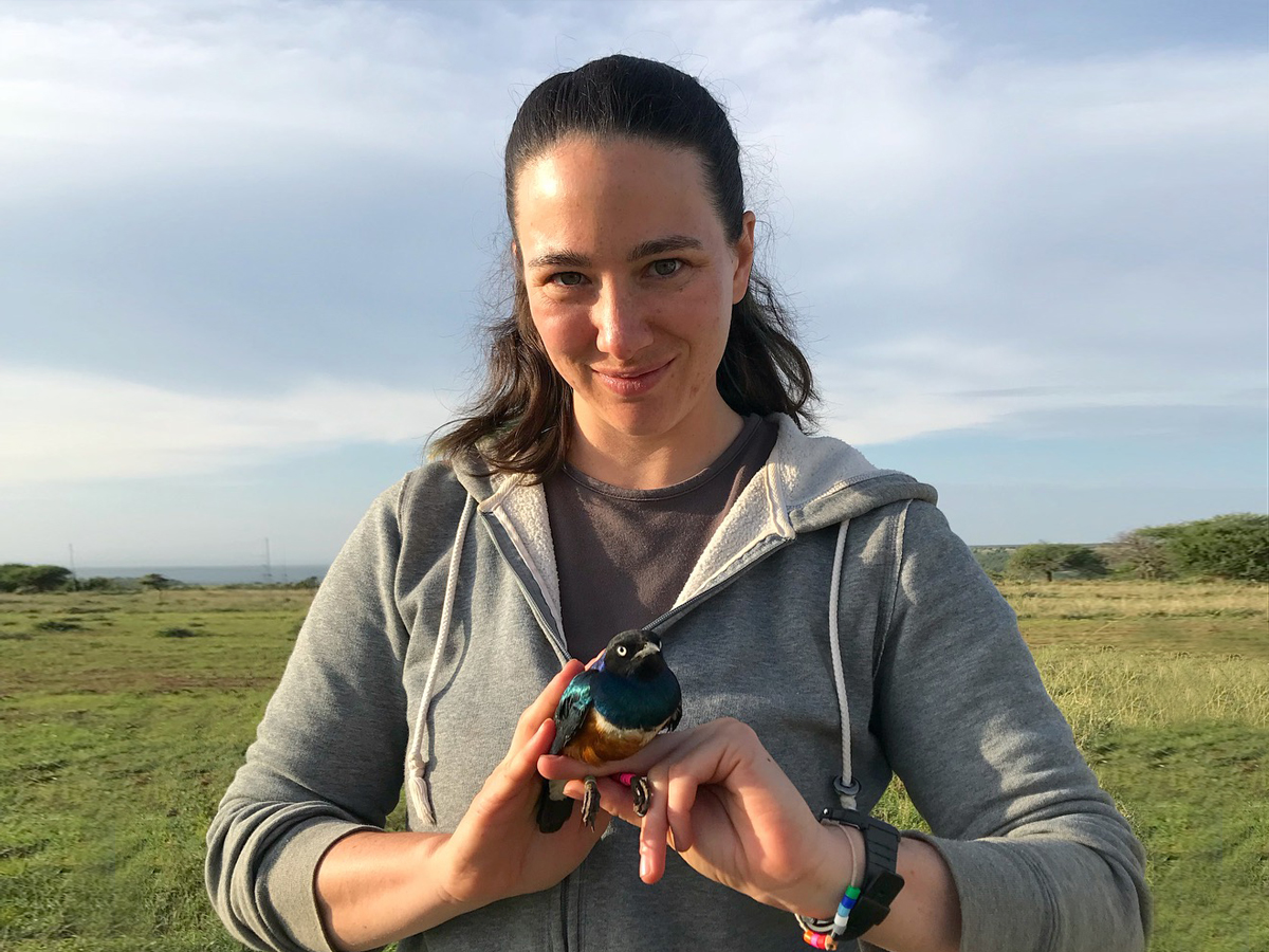 Assistant Professor’s Partnership With Garden City Bird Sanctuary Takes ...