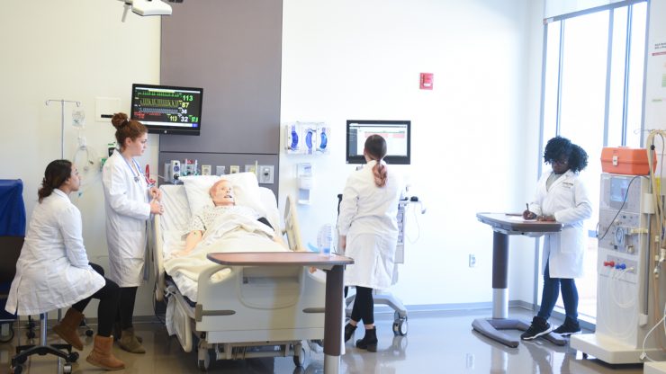 Clinical Placements for Nursing Students Are in Short Supply. Adelphi's ...