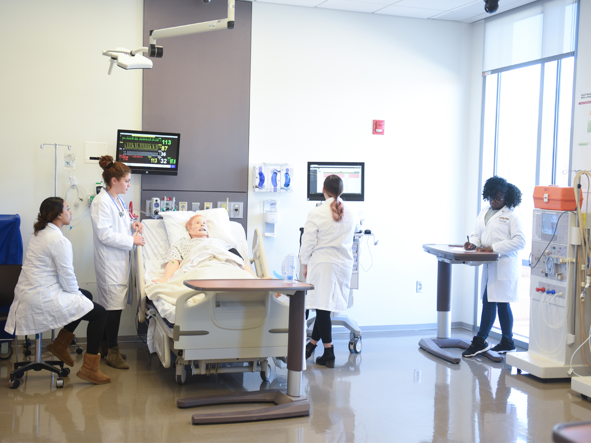 Clinical Placements for Nursing Students Are in Short Supply. Adelphi's ...