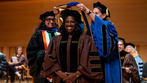 Adelphi University | Higher Education College | New York