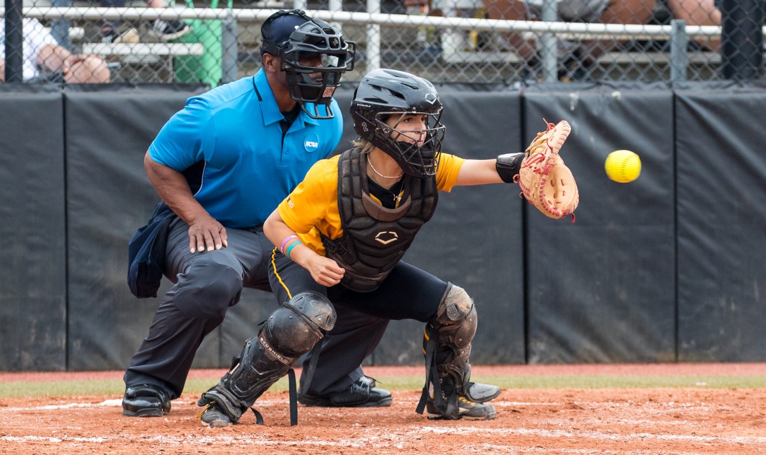 Meet the Champions: Outstanding Individuals Highlight an Amazing Year ...