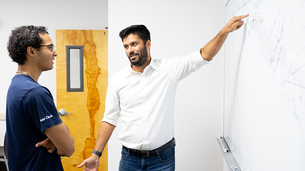 Adelphi's Summer Institute in Mathematical Epidemiology Wins Inspiring Programs in STEM Award ...