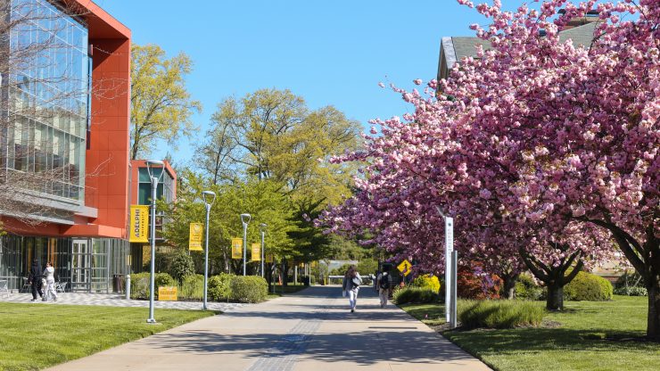 Adelphi Climbs Wall Street Journal’s “Best Colleges” Ranking