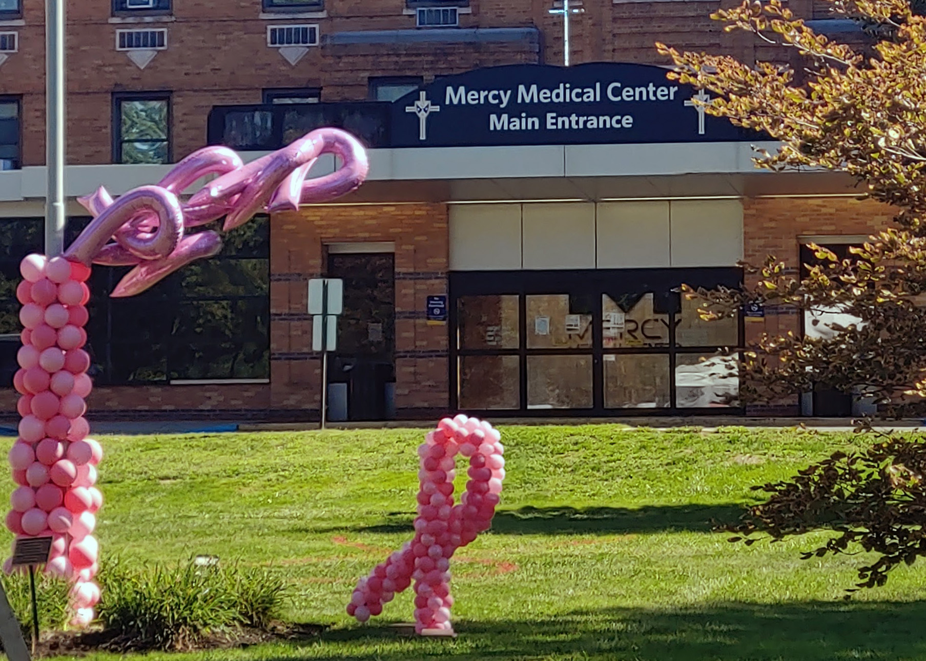 Adelphi NY Statewide Breast Cancer Hotline & Support Program Launches ...