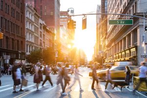Adelphi University | Higher Education College | New York